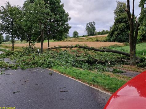 Technische Hilfeleistung Baum auf Straße Feuerwehr Linnich