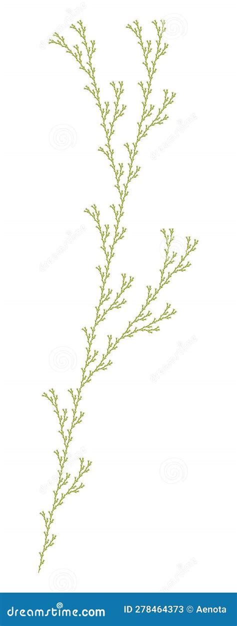 Flat Vector Computer Generated L System Branching Fractal Generative