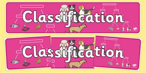 Free Classification Display Banner Teacher Made