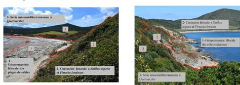 Demarcation Examples Of Geoseries Individuals On The Sandy And Rocky Download Scientific