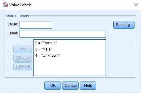 SPSS Automatic Recode Access Excel Tips