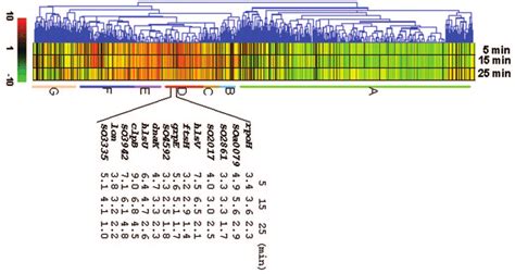 hierarchical clustering of selected genes that varied significantly p