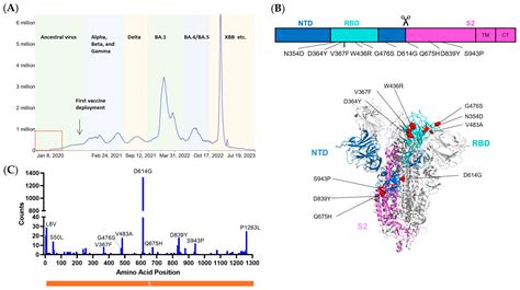 Viruses Free Full Text Early Emerging Sars Cov 2 Spike Mutants Are