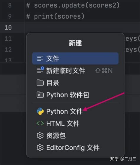 Python