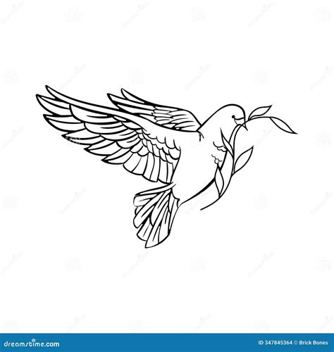 Desenho Das Linhas Da Pomba Do Símbolo Da Paz O Ramo Da Oliveira
