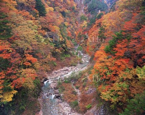 長野県 大町市 高瀬渓谷 5273761 の写真素材 アフロ