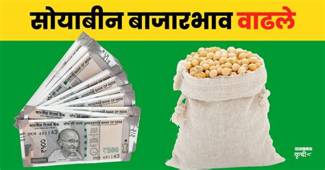 Soyabean Rate सोयाबीनच्या बाजारभावात मोठी वाढ आजचे भाव चेक करा