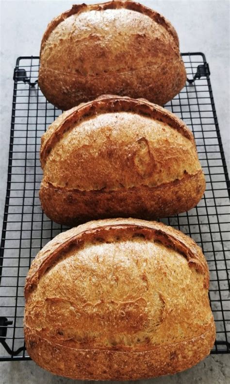 Sourdough Bread Class Food And Drinks Other Food And Drinks On Carousell