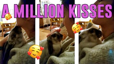 Bunny Kisses YouTube