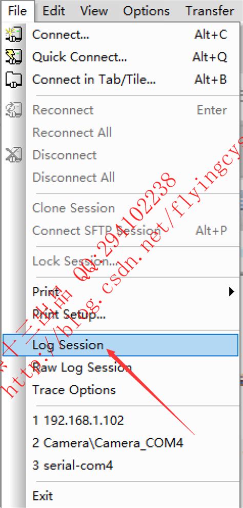 Add Timestamp To Securecrt Log Programmer Sought