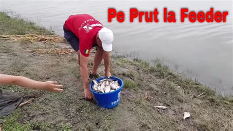 Pescuit La Prut Cu Feeder Ul Youtube