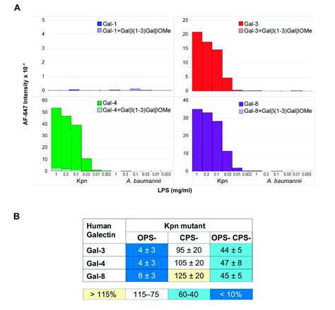 Microarray Analysis Of Galectin Binding To Kpn Lps And Mutant Cells
