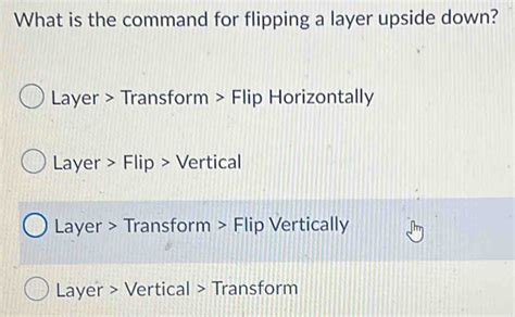 Solved What Is The Command For Flipping A Layer Upside Down Layer