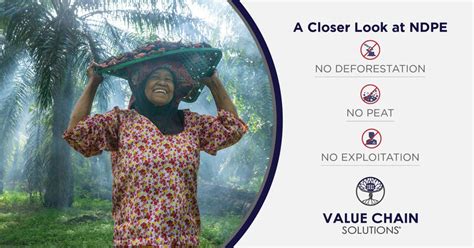 Thinus Van Schoor Posted On Linkedin