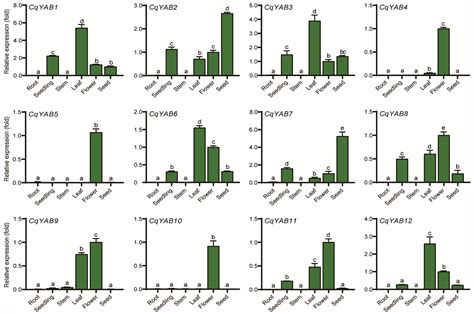 Genes Free Full Text Molecular Characterization And Expression