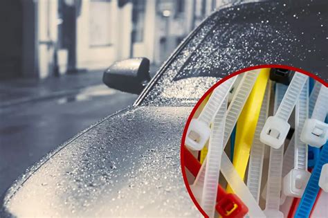 Cheyenne Police Issue Statement On Zip Tiesex Trafficking Rumors Cheyenne Police Issue Statement On Zip Tiesex Trafficking Rumors