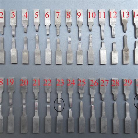 Tensile Tested Specimens Download Scientific Diagram