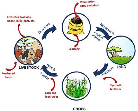 Frontiers Manure Management Practices And Policies In Sub Saharan