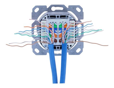 Stap Voor Stap Utp Wandcontactdoos Aansluiten