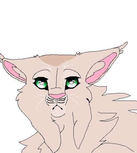 Briarpaw Warriors Roleplay Wiki Fandom