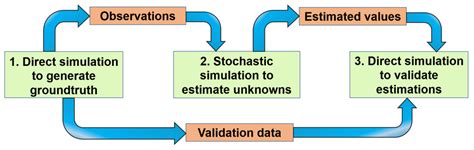 Overview Of The Experimental Workflow The Process Contains Three Download Scientific