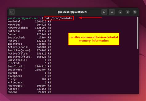 How To Check Memory In Linux 8 Easy Ways