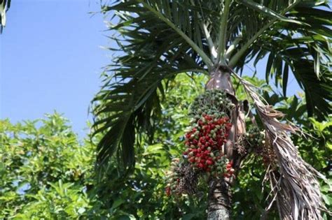 Unleash Your Inner App Developer Part 14 Core Data