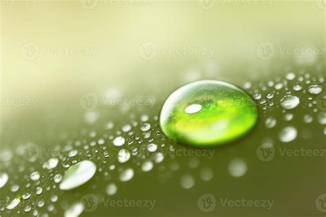 3d Render Rain Drop On The Leaf Micro Photo Waredrop Green Background