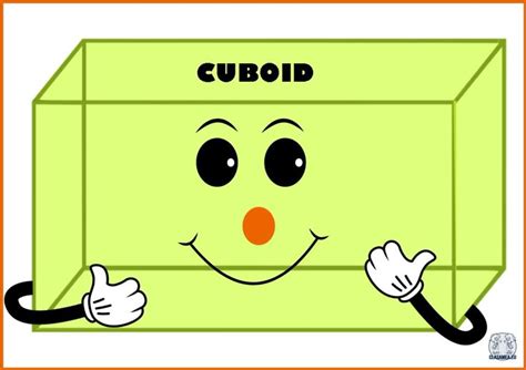 Figuri și Corpuri Geometrice Cuboid