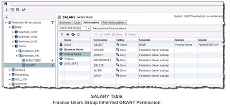 Securing Sensitive Data Using SAS Federation Server At The Row And