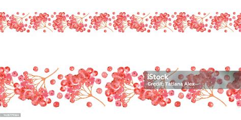 로완 나무의 열매 수채화 이음새가 없는 테두리 인사말 카드 초대장 및 실내 장식을위한 손으로 그린 예술 빈티지 패턴 예술적 삽화 0명에 대한 스톡 벡터 아트 및 기타 이미지