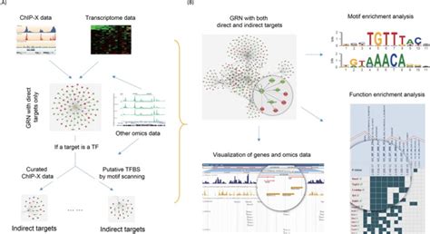 Chip Array 2 Integrating Multiple Omics Data To Construct Gene