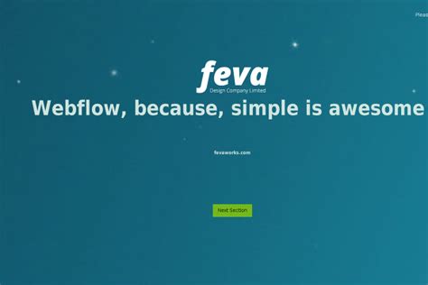 Shinys Animation Site Webflow