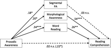 The Multiple Mediation Model Shows The Effects Of Prosodic Awareness On