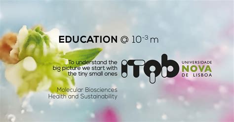 Getting Started In Research — Itqb