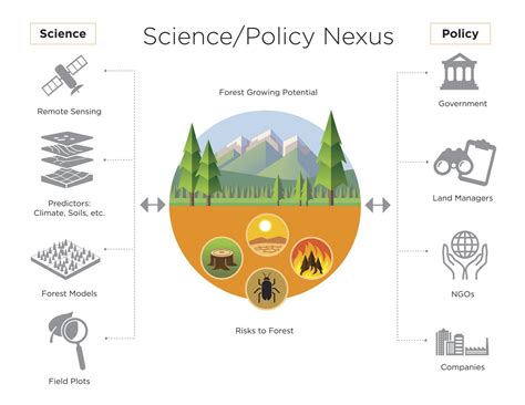 Buying Carbon Offsets For Climate Emissions Is Not Realistic Without