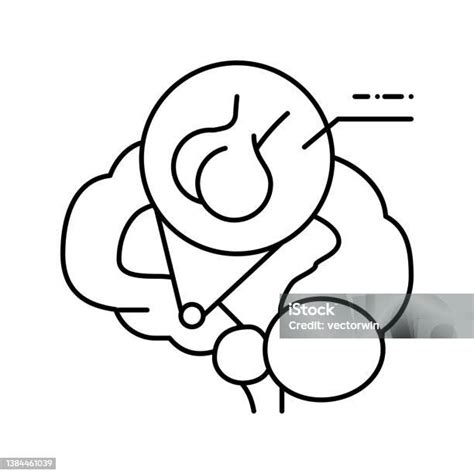 뇌하수체 내분비학 라인 아이콘 벡터 일러스트 갑상샘에 대한 스톡 벡터 아트 및 기타 이미지 갑상샘 갑상샘기능 저하증 갑상샘기능 항진증 Istock