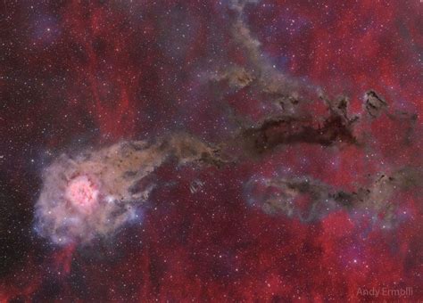 Apod 2023 January 19 The Seagull Nebula Artofit