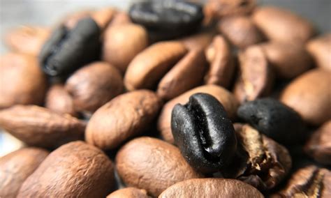 Mengenal Kopi Defect Apa Itu Aman Kuba Coffee