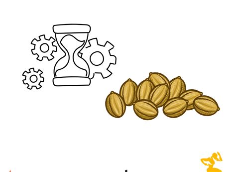 Torchmanualseed Setting Seed For Rng