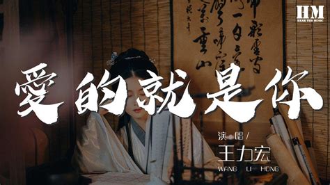王力宏 愛的就是你『你就是我唯一 我唯一愛的就是你』【動態歌詞lyrics】 Youtube