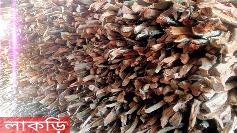 লাকড়ি। কাঠের লাকড়ি। আম গাছের লাকড়ি। মেহগুনি গাছের লাকড়ি ইত্যাদি। Youtube