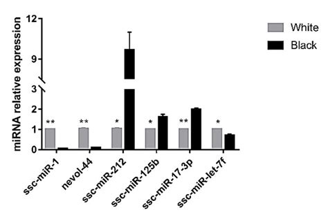 Quantitative PCR Validation Differentially Expressed Genes A Download Scientific Diagram