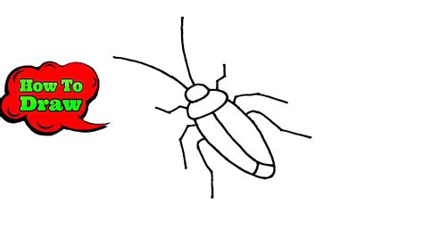 Cockroach Scientific Drawing