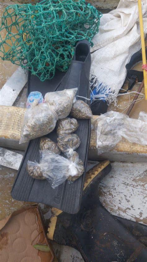 Ordenan Detención A Tres Hombres Por Posesión Agravada De Drogas En