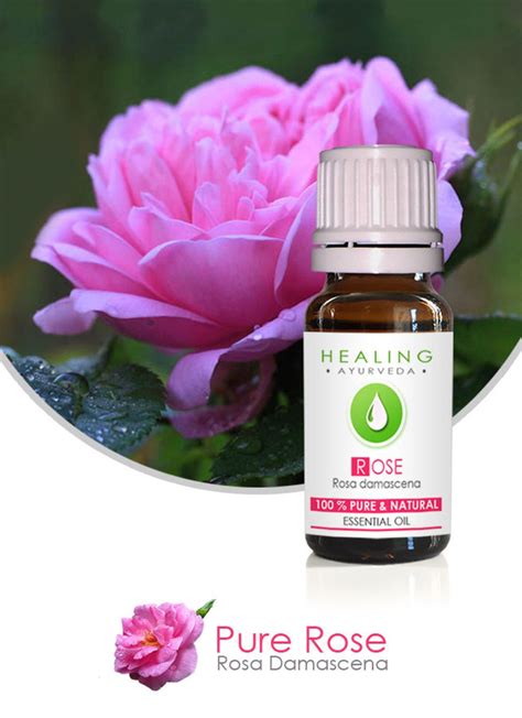 Pure Rose Oil 100 Rose Otto Undiluted Rose Essential Oil Rosa