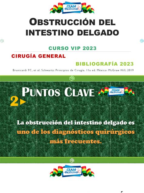 Ceam Vip 2023 Cirugia Clase 7 Pdf