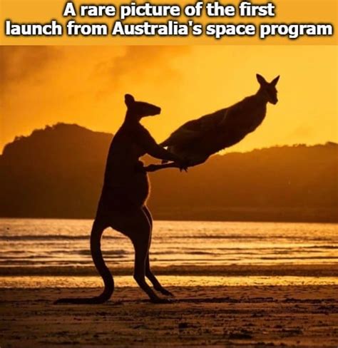 Dont Things Just Fall Into Space From Australia Rmemes