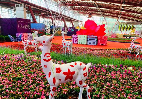 【賞花之旅】2020花在彰化，南北雙燈區花影水舞超吸睛！ Yahoo奇摩旅遊