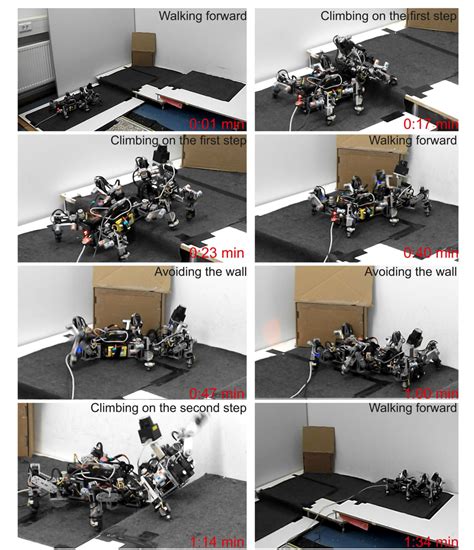 Figure 10 From Synaptic Plasticity In A Recurrent Neural Network For